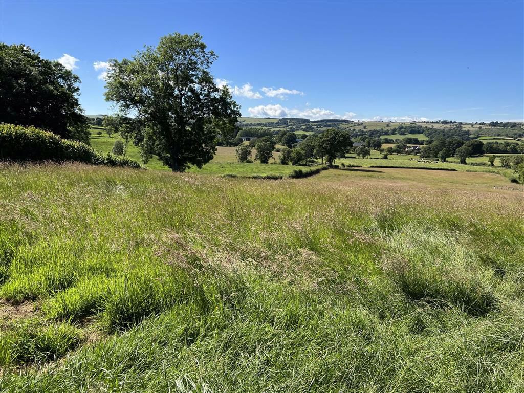 Land At Pant Bach, Adfa, Newtown, SY16 3DG | Estate Agents & Auctioneers